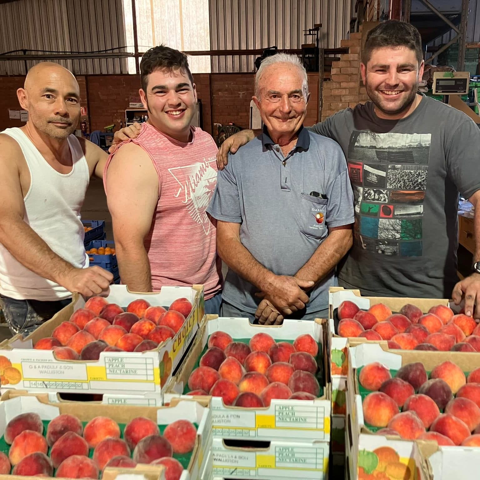 Padula (Stone fruit)- SEASONAL – Kalamunda Farmers Market